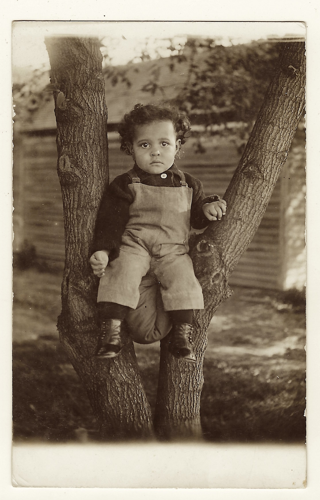 AFRICAN AMERICAN LITTLE GIRL WITH A BIG NAME: MARGARET ALICE VERA VANCE ...