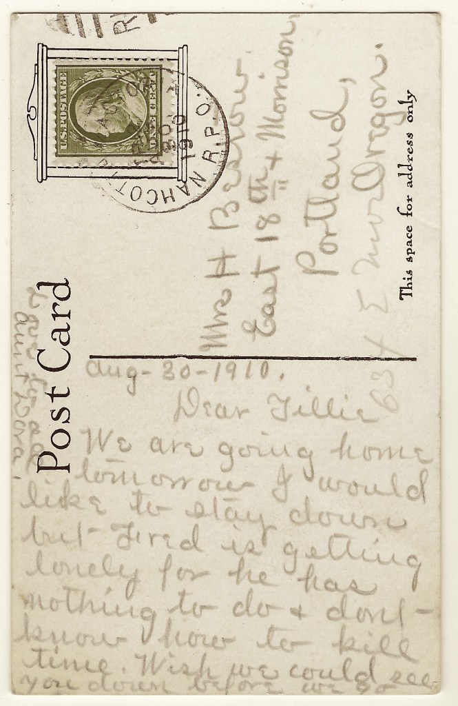 PORTRAIT OF A FAMILY TREE (AKA INITIAL TREE) | THE CABINET CARD GALLERY