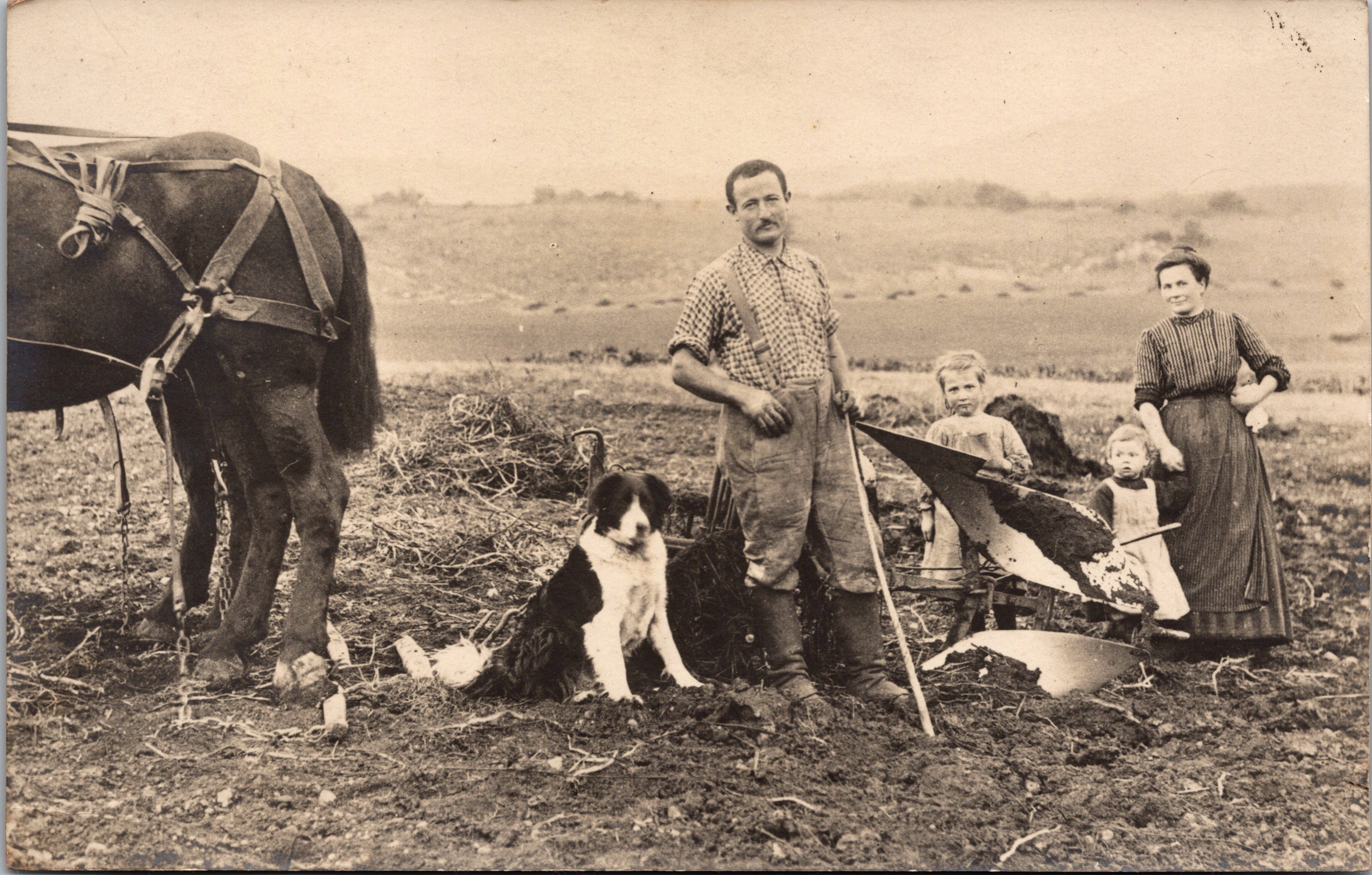 Farming | THE CABINET CARD GALLERY